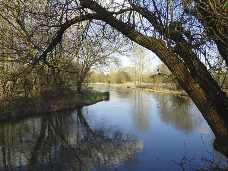 The River Itchen: Queen of the rivers ~ Martyr Worthy ~ Introduction